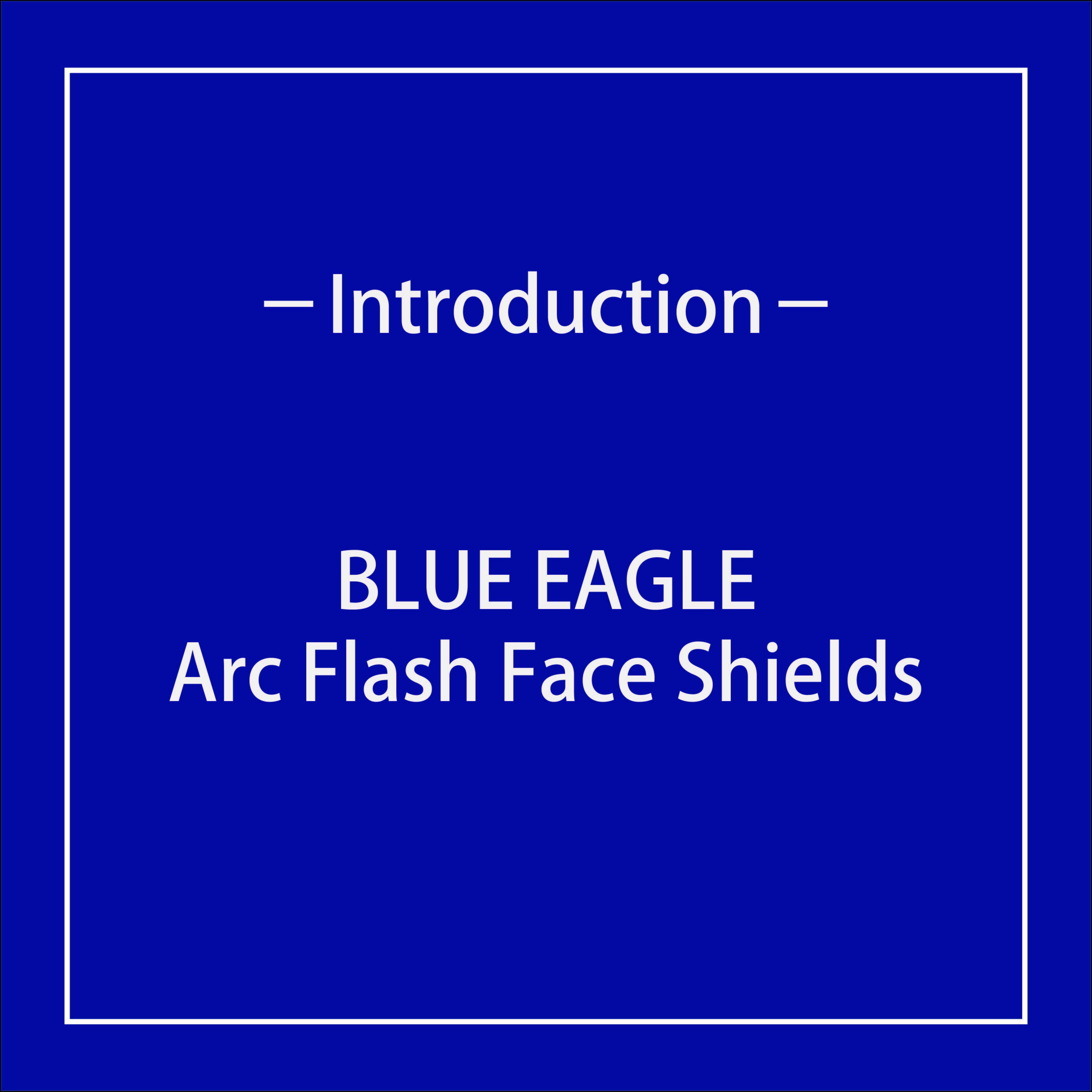 Arc Flash PPE Quotation - Blue Eagle